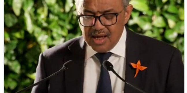 סיכות דש כתומות - אירועי האקטיביזם באו"ם בג'נבה - מורן אלחלל - אוריגמי בד